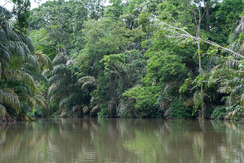 Mini RainForest & Shopping - Port Limón.com